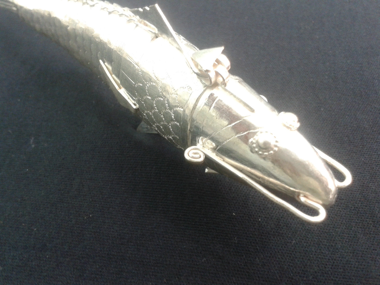 Silver Fish – Silverlinings